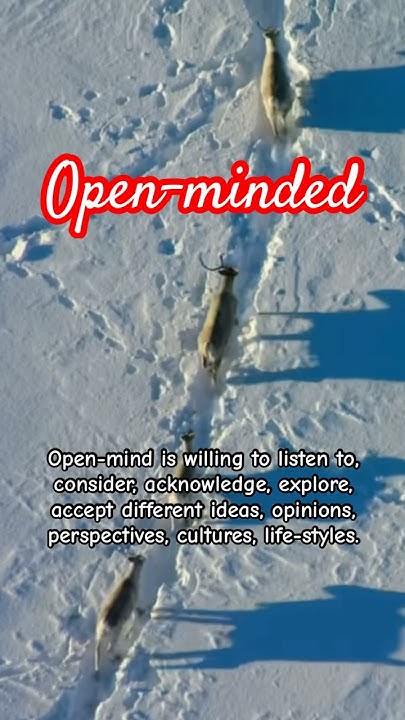 My top core values: Freedom, Open-mind, Tolerance. Open-mind: consider, explore, accept ...