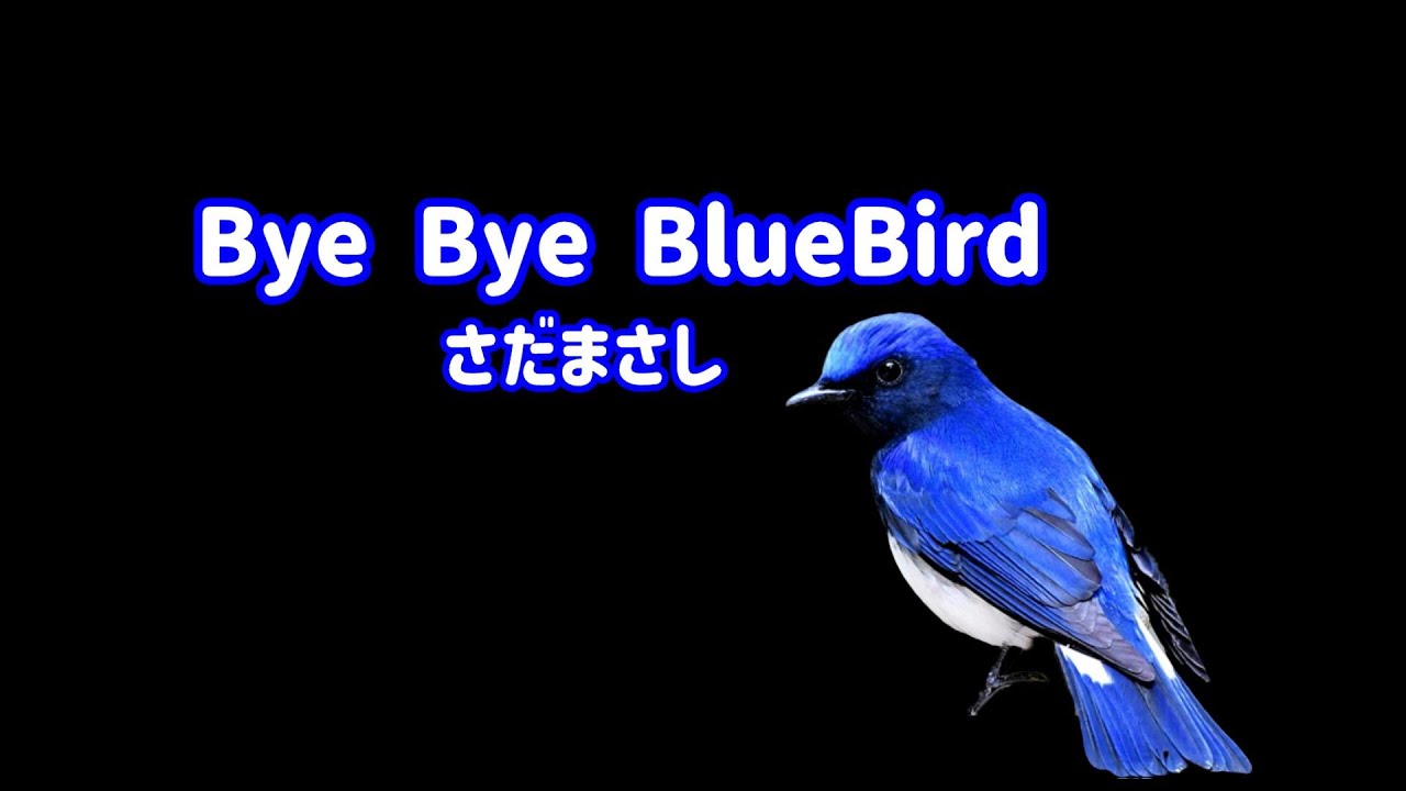 さだまさし Bye Bye Blue Bird - YouTube