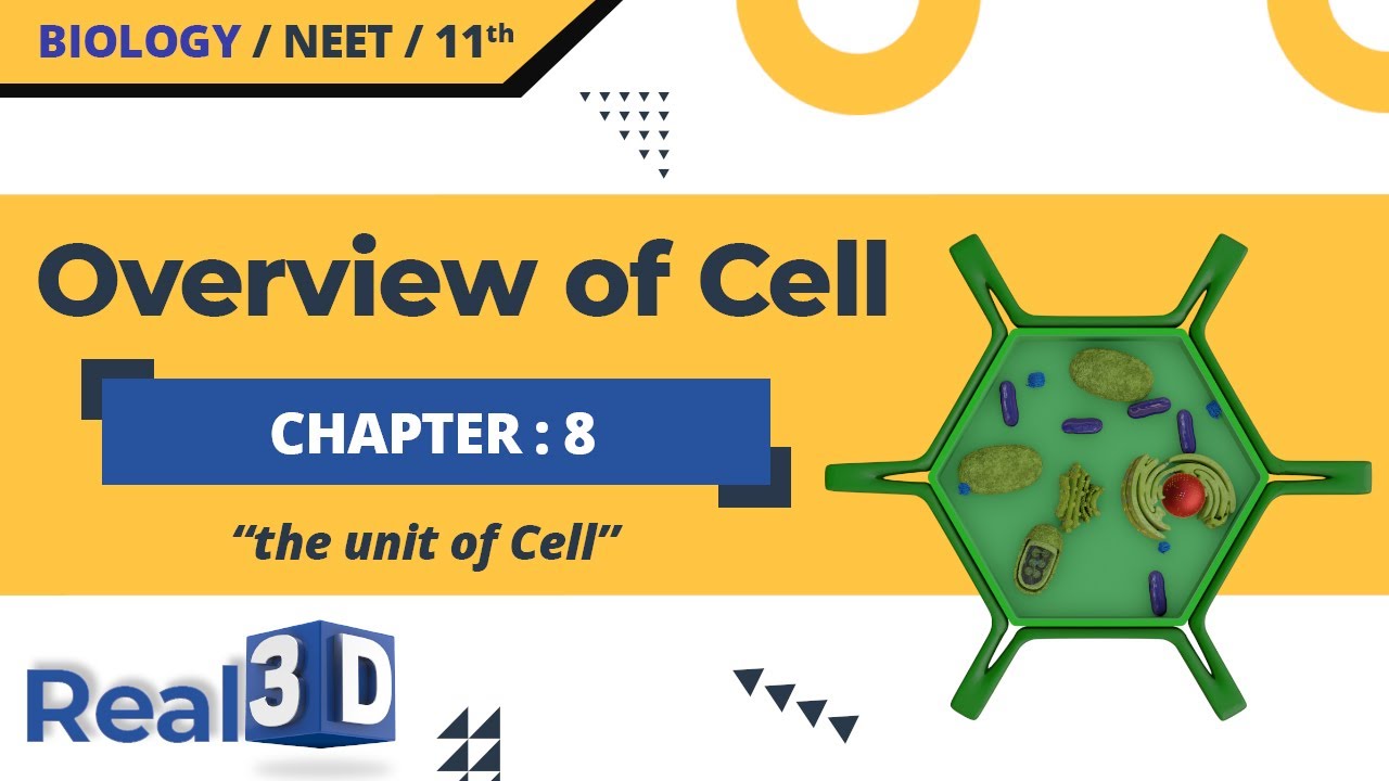 Cells - Introduction | Overview of Cell | Cell Biology | Cell: The Unit ...