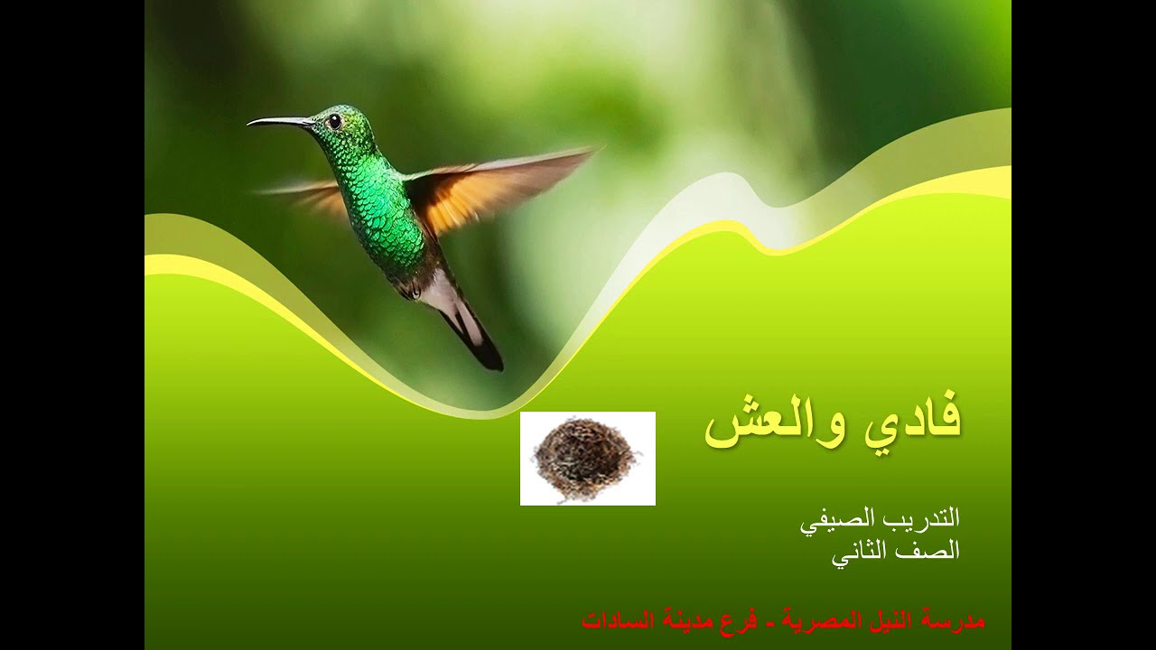 فادي والعش Youtube