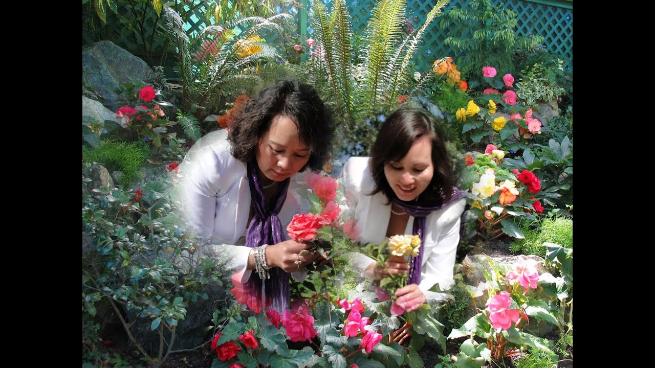 Poob Dej Thiaj Txawj Luam Dej - YouTube