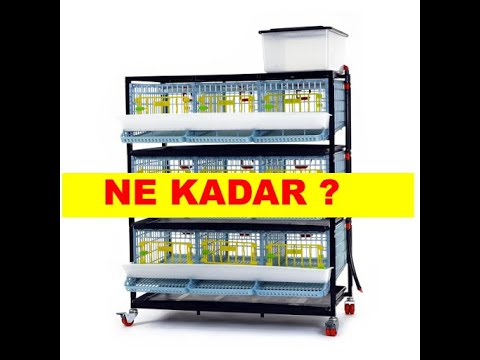Cımuka Bıldırcın Kafes Fiyatları Güncel