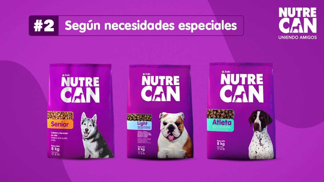 ¿cómo escoger la comida de tu perro? - Nutrecan - YouTube