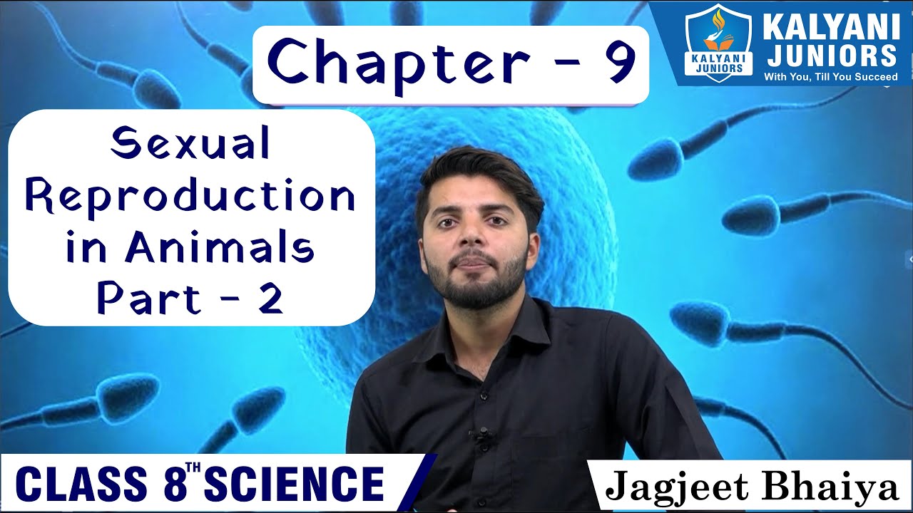 Class 8 Science | Chapter 9 | Sexual Reproduction in Animals - 2 ...