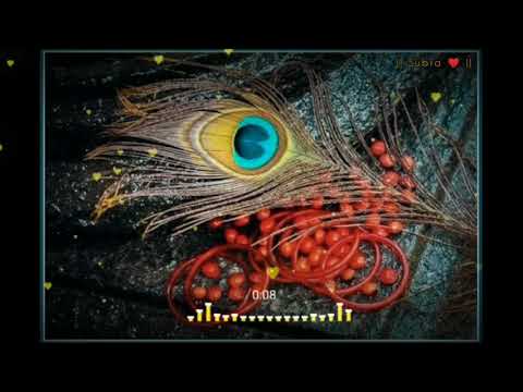 New Bgm Instrumental Ringtone|| Love Ringtone|| Hindi Romantic Tune|| Instrumental WhatsApp status..