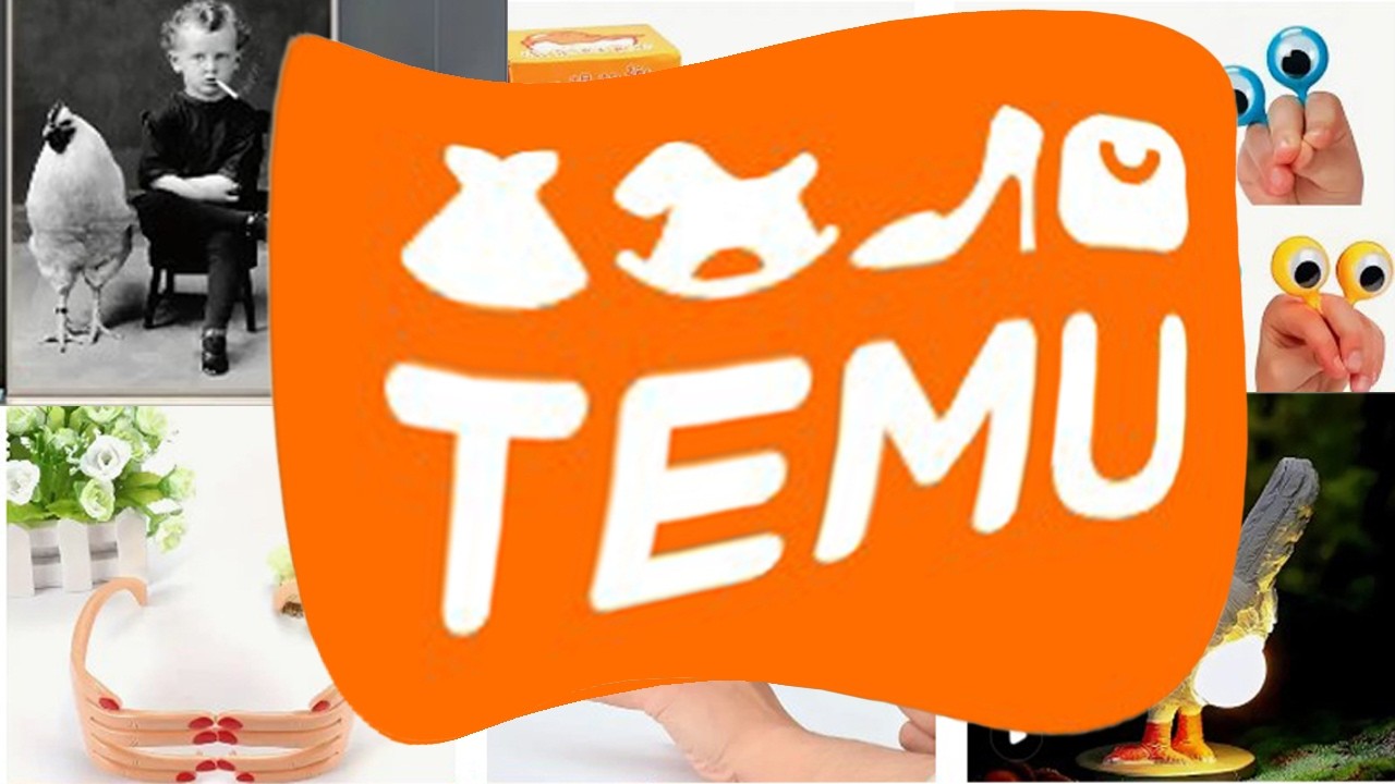 Weird Temu Products! - YouTube