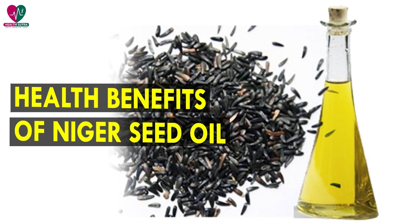 Health Benefits Of Niger Seed Oil || Health Sutra - Best Health Tips ...