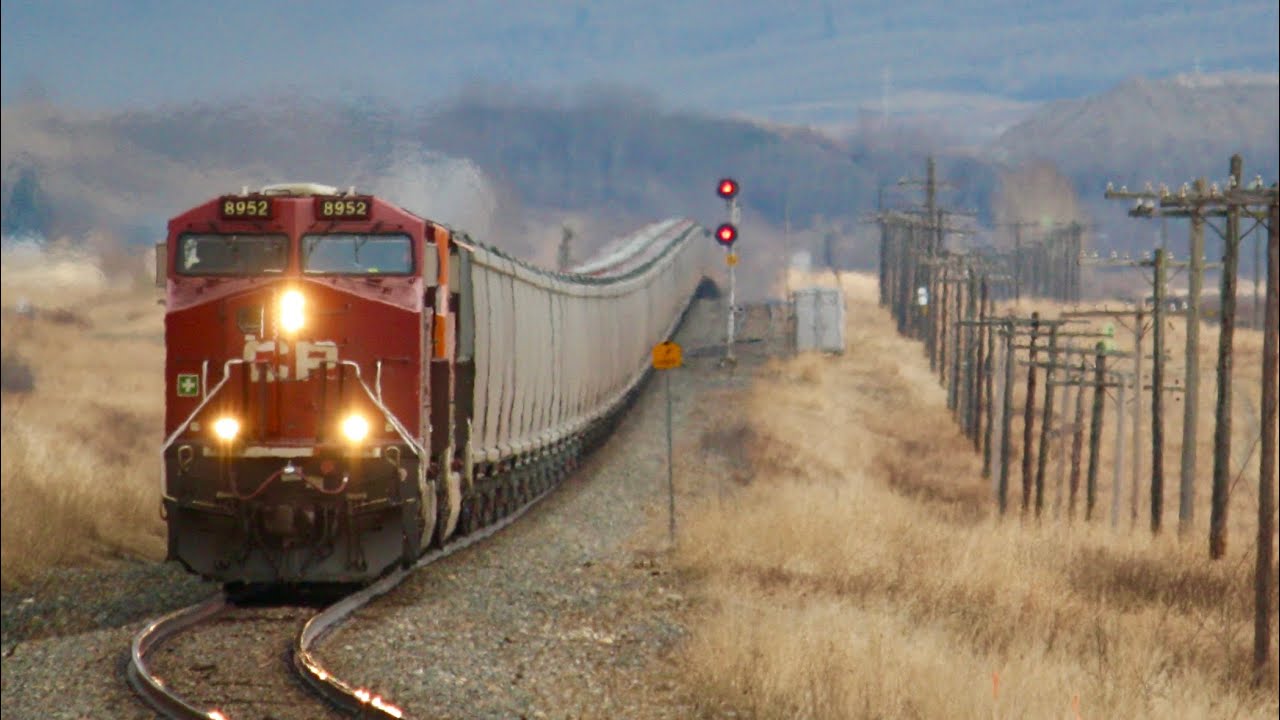 BNSF ES44DC 7825!!! CP 8952, BNSF 7825, CP 8739, & CP 8924 lead CP 309 ...