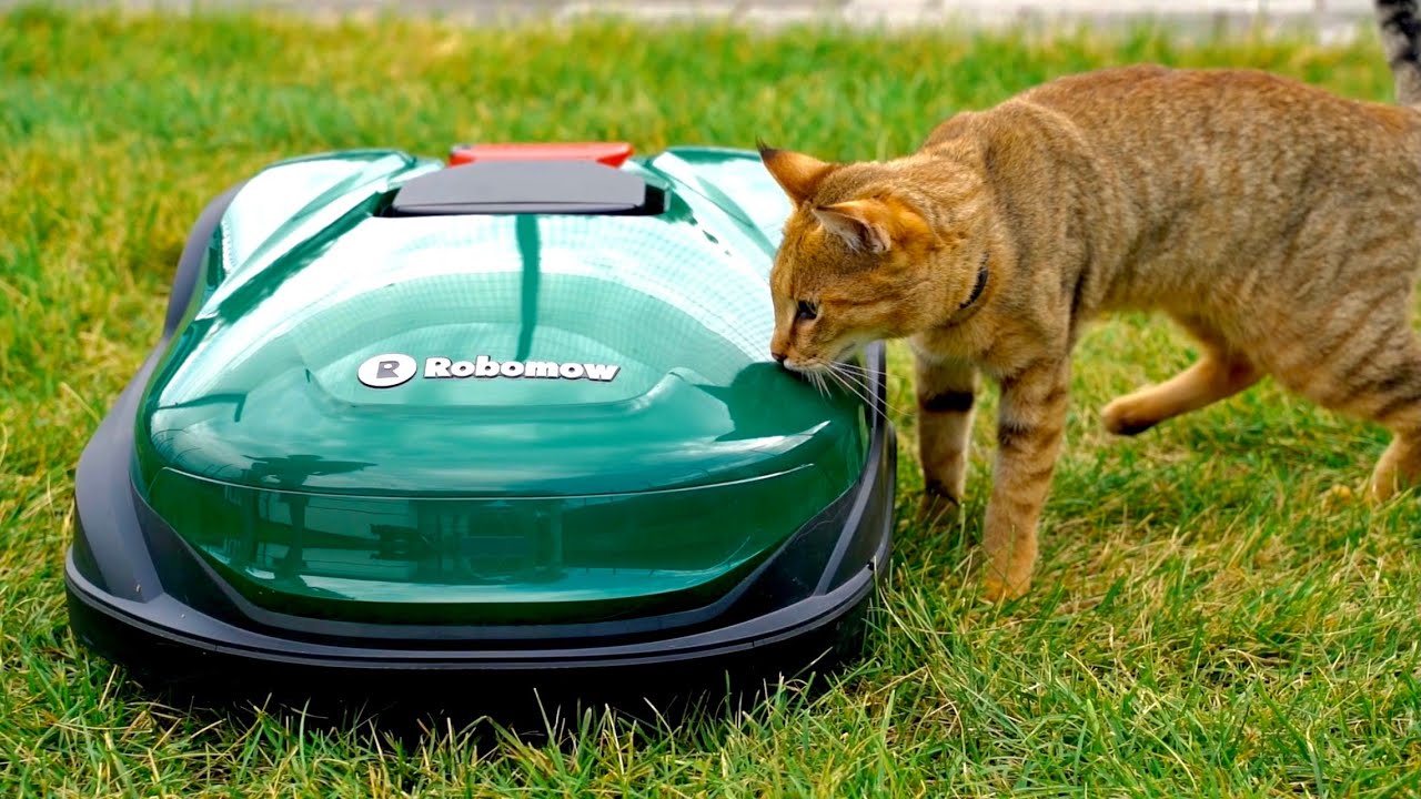 Робот газонокосилка Robomow RK1000 честный обзор😁👍 - YouTube