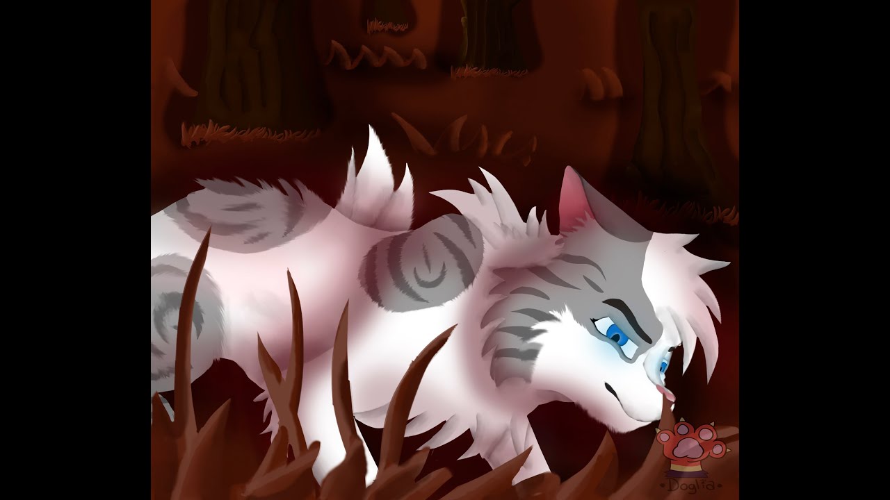 *IVYPOOL* Warrior cats- Speedpaint - YouTube