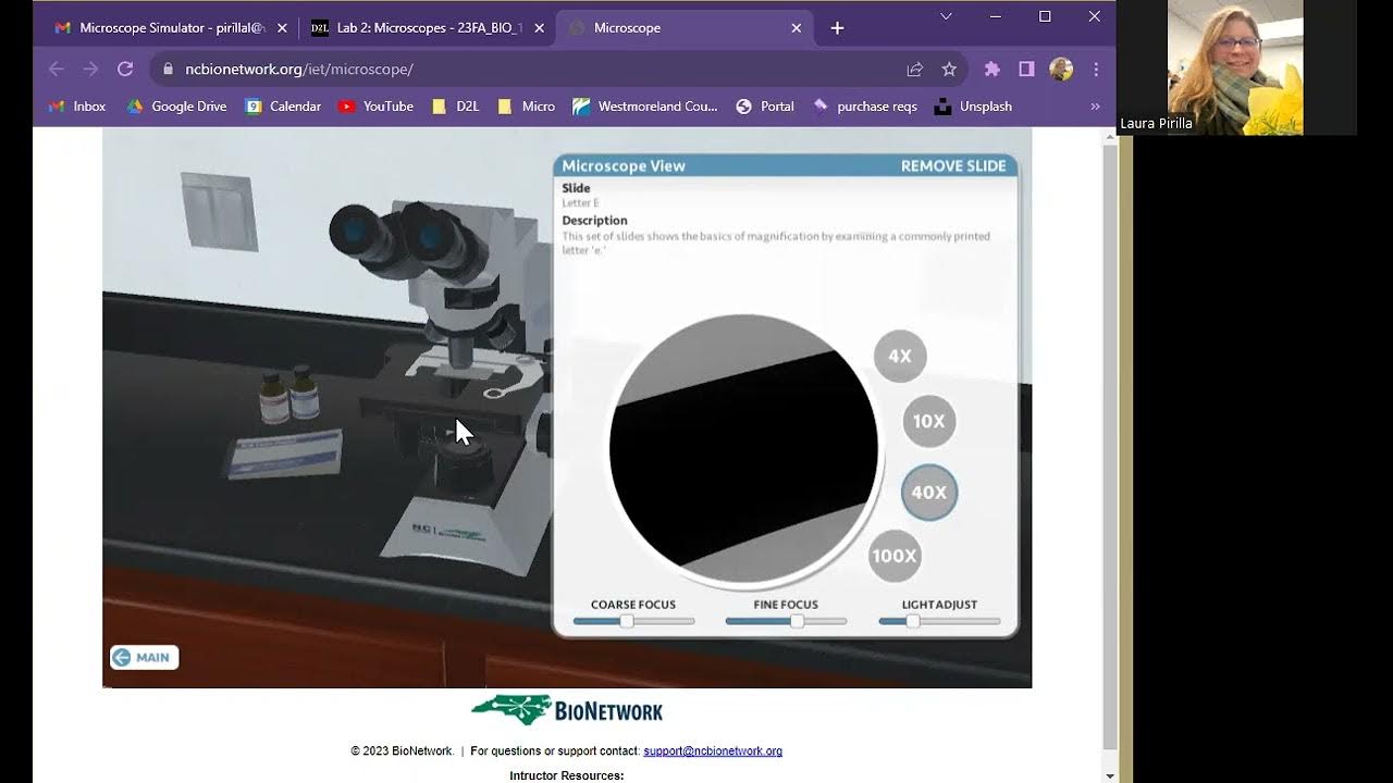 Virtual Microscope Simulation - YouTube