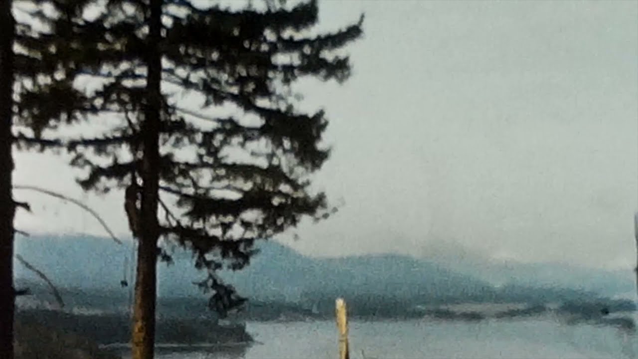 Preparing The Wooden Spar Tree (Narrated Logging Video) - YouTube