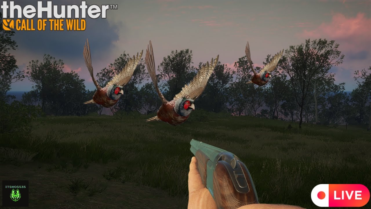 78 Pheasants into G1 Grind, Hope you had an Amazing Christmas! | the ...