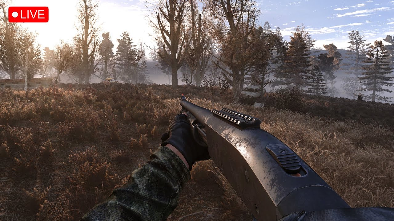 Rookie Stalker Goes Deeper Into the Zone in STALKER GAMMA - YouTube