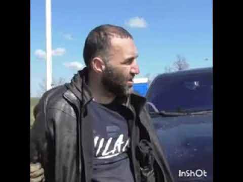 Zaur talış starşi brat