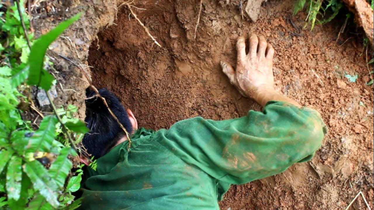 9th day living in the forest, digging giant rat on a rainy day - Life ...