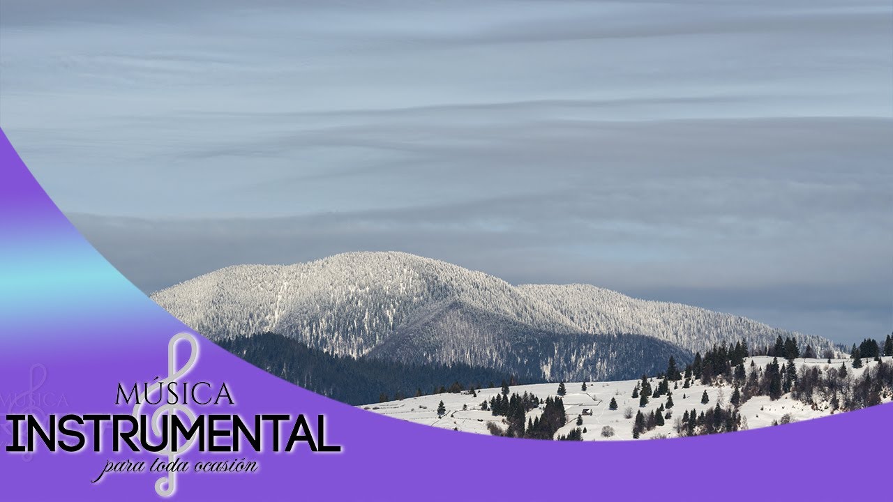 MÚSICA PARA CELEBRAR LA VIDA /Música instrumental para toda ocasión ...