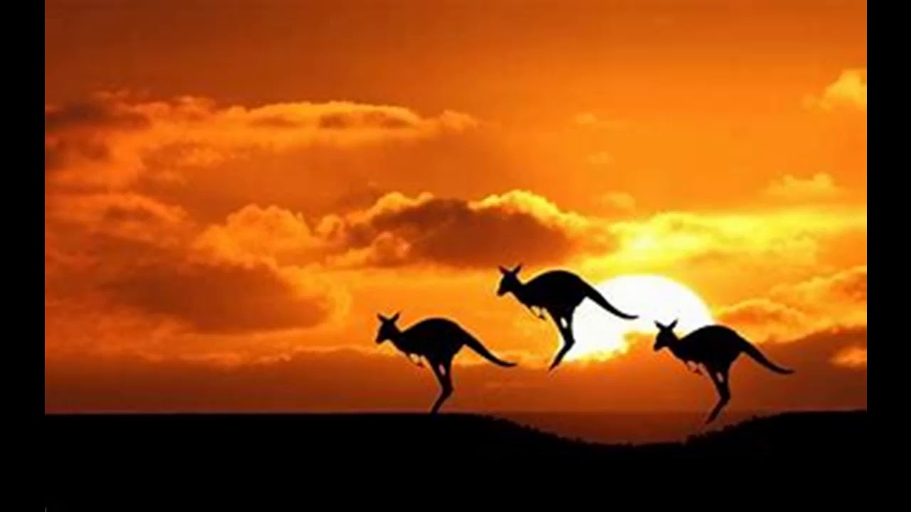 waltzing matilda - YouTube