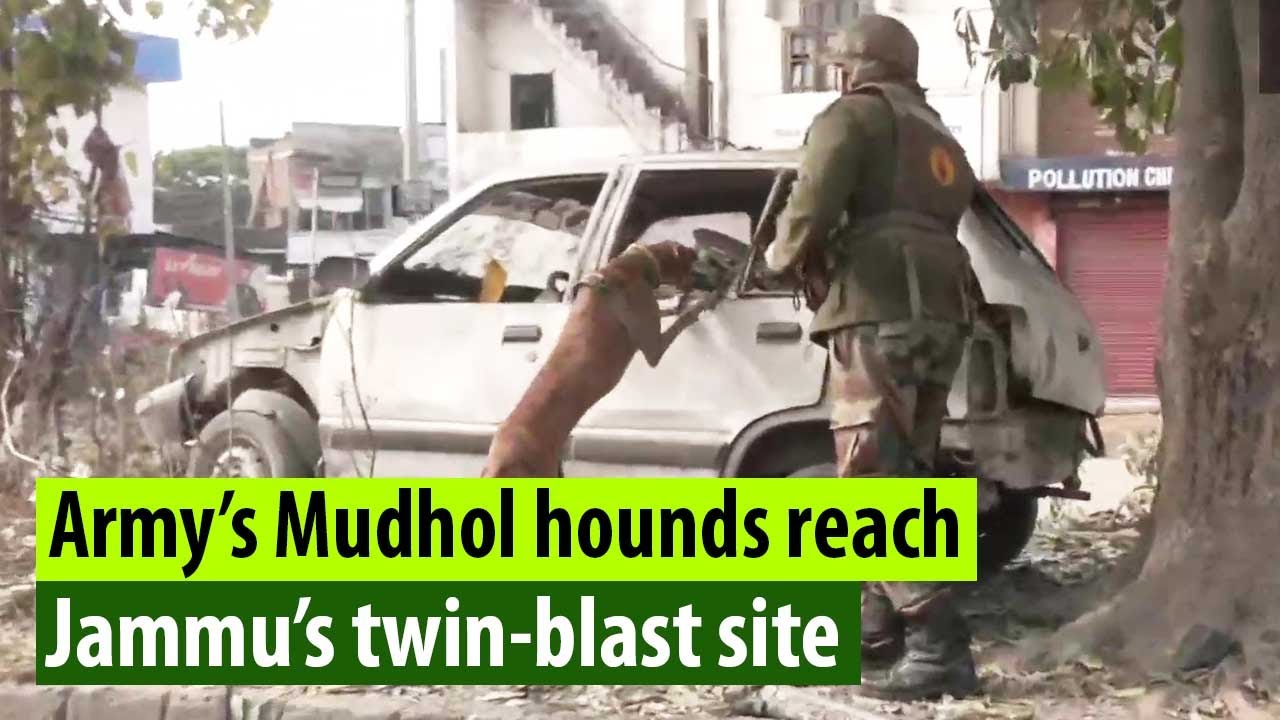 Army’s Mudhol Hounds on mission at twin-blast sites in Narwal, Jammu ...