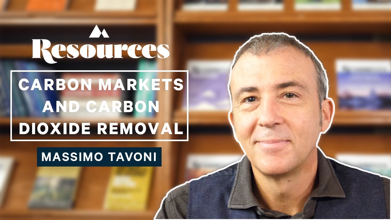 In Focus—Massimo Tavoni on Carbon Markets and Carbon Dioxide Removal ...