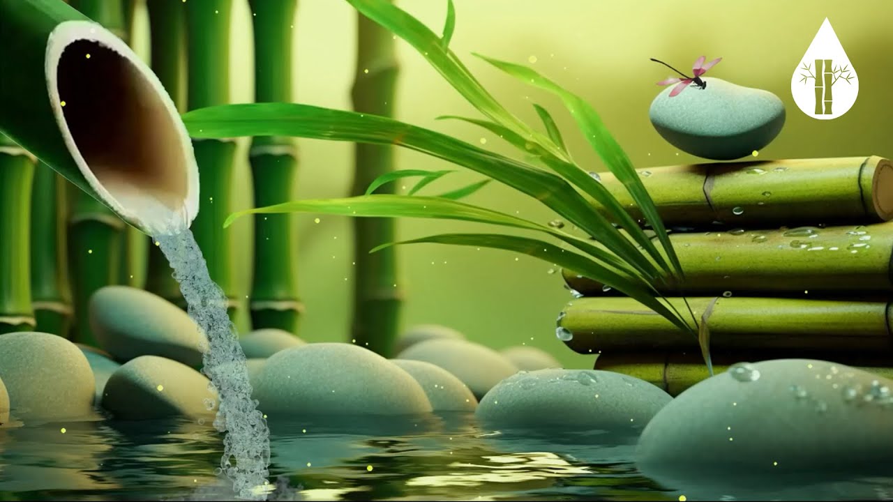 Relaxing Bamboo Piano Music & Water Sounds | Bamboo, Calming Music ...