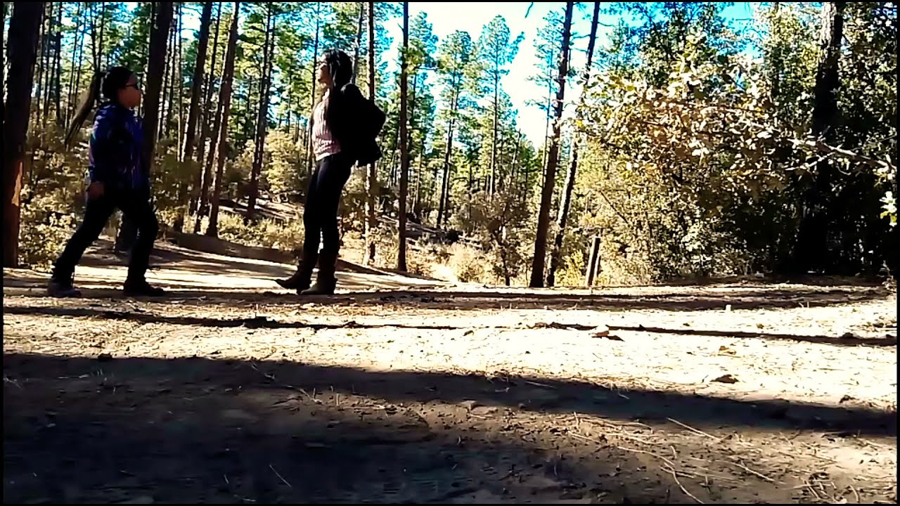 In The Woods Exploring Nature || Playtime & Games | Nature's Best - YouTube