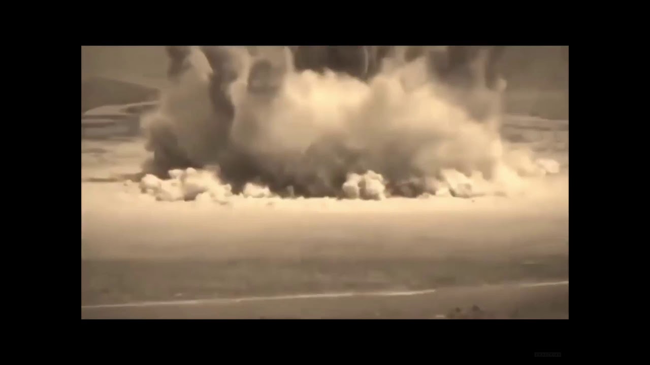 Do birds explode - YouTube