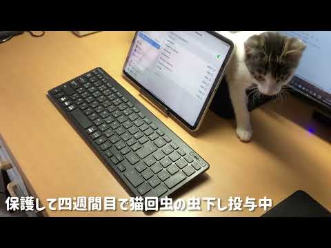 デスクトップPC用に3000円のキーボード買ったので紹介してみる