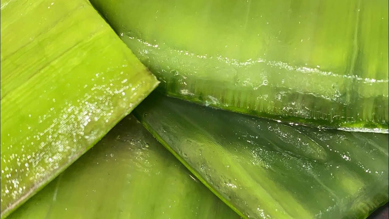 Aloe Vera daily moisturizer for extreme Hair growth 💇🏻,Grandi cheve nou ...