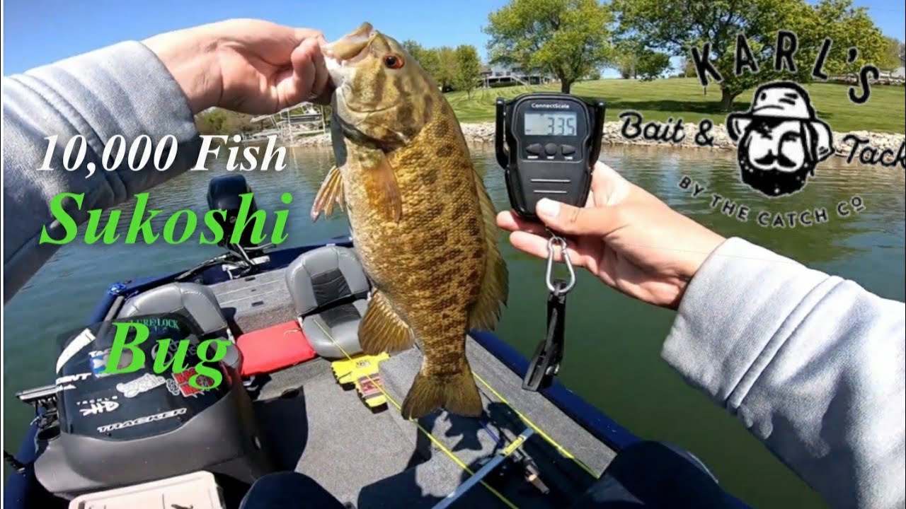 SUKOSHI Bug Catching BIG Smallmouth Bass (teaser trailer) - YouTube