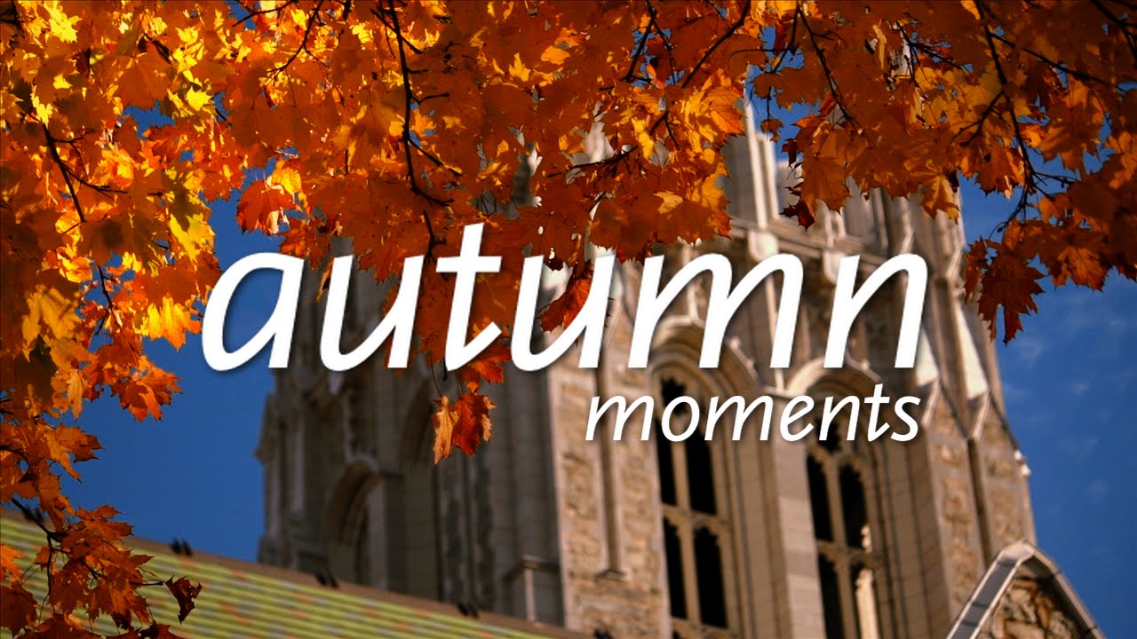 Autumn Moments - YouTube