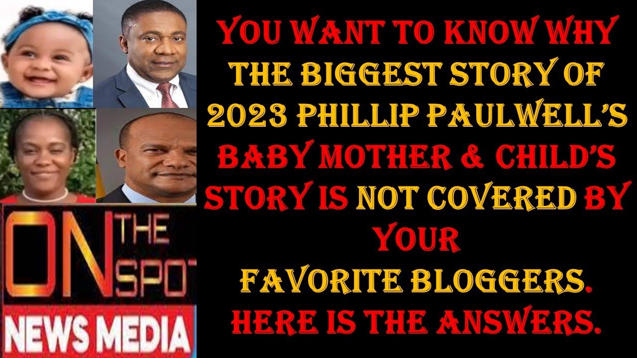 PHILLIP PAULWELL'S BABY'S ABDUCTION: THE REASON WHY PROMINENT BLOGGERS ...