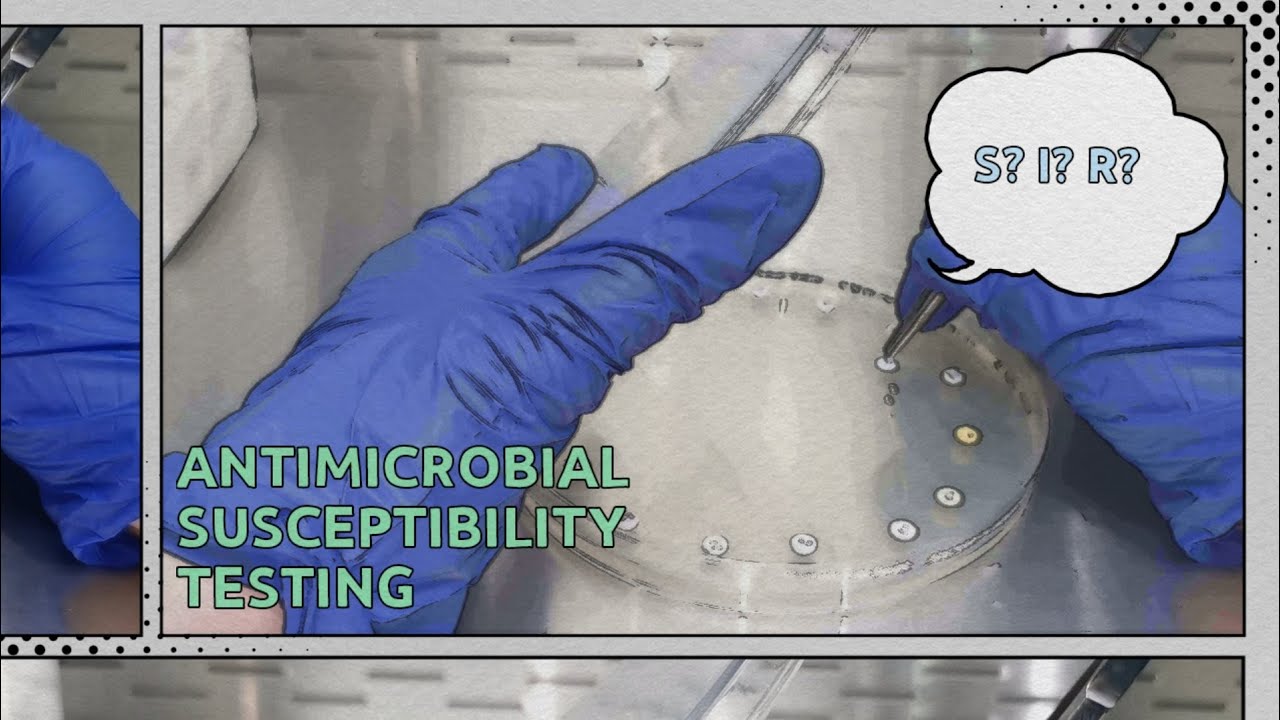 Antimicrobial Susceptibility Testing Part 2| Medical Laboratory Science ...