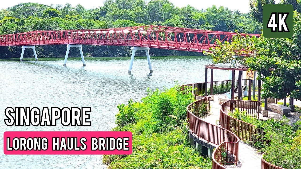 New PCN Route Between Pasir Ris Park and Lorong Halus | Singapore ...