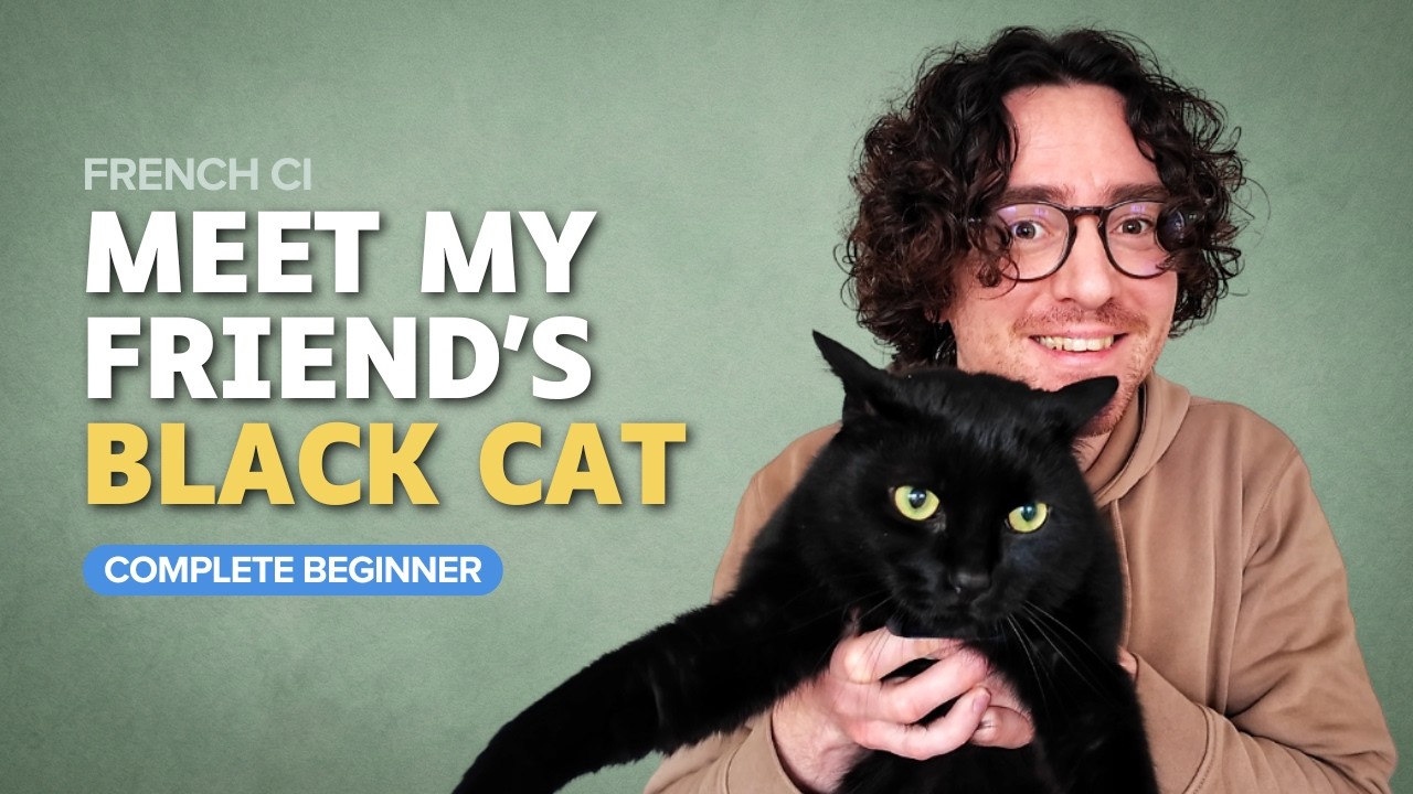 Meet my friend's black cat – Complete beginner French (Comprehensible ...