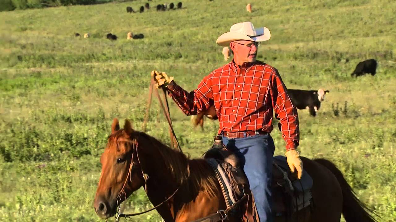 NCBA's Cattlemen to Cattlemen - March 22, 2016 - YouTube
