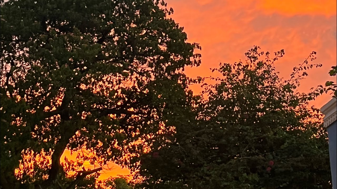 Emo Rap/ Pop-Punk type beat “Fire Guitar” - YouTube