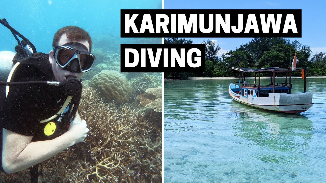 SCUBA DIVING IN KARIMUNJAWA ISLANDS, INDONESIA | Karimunjawa Snorkeling ...