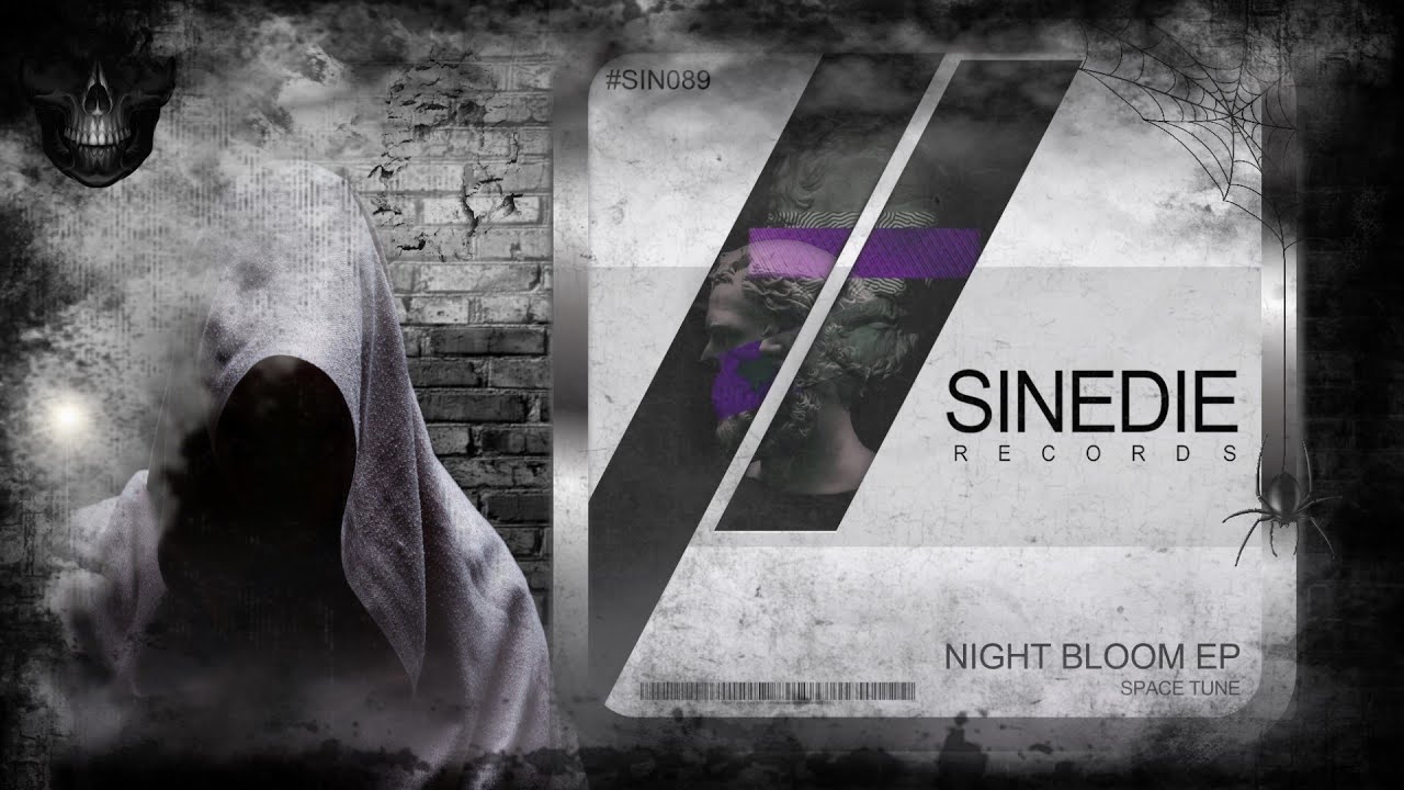 Space Tune – Infinity (Original Mix) [Sinedie Records] - YouTube