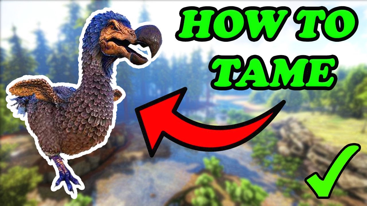 BEST PROVEN WAY TO TRAP AND TAME A DODO IN ARK!! - YouTube
