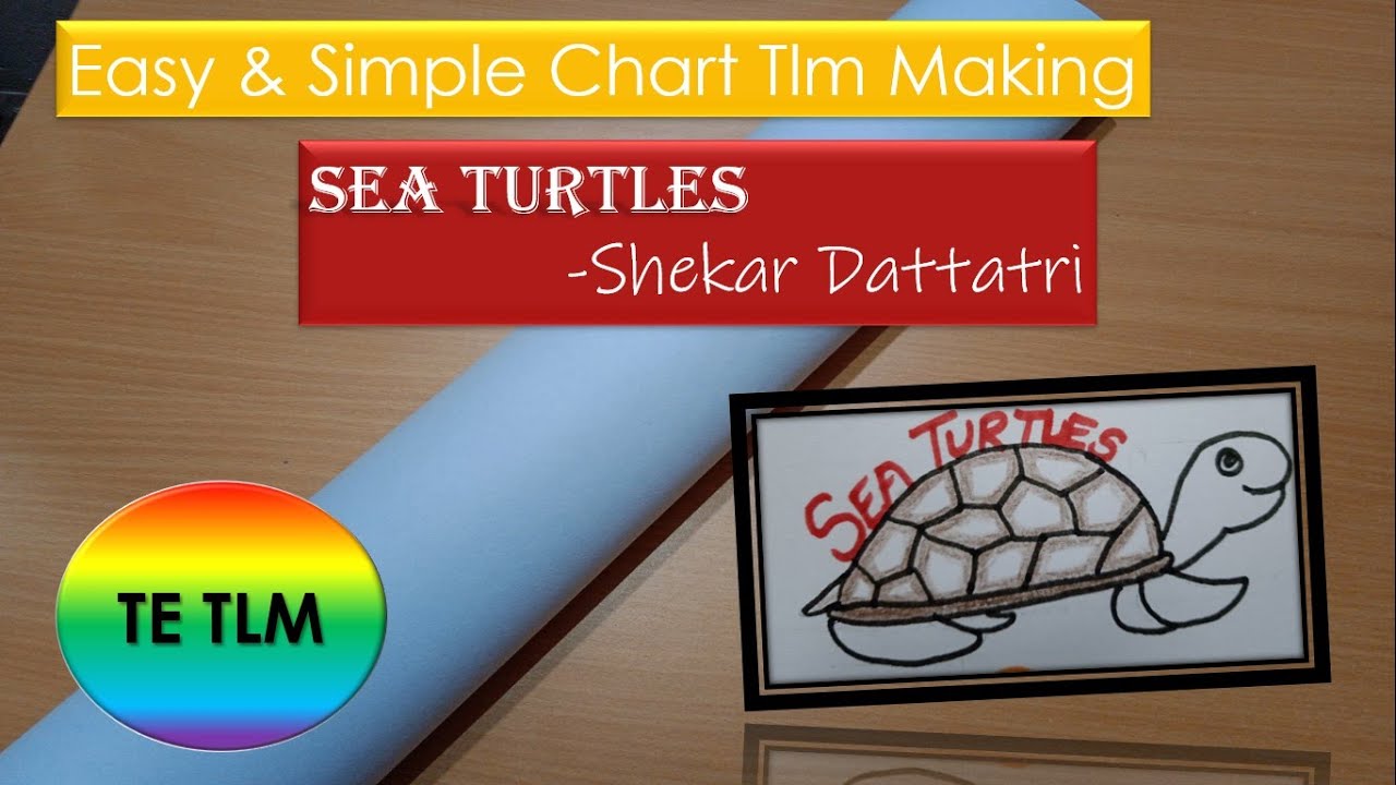 Sea Turtles| Sea Turtles predators| 6th std term 1 Prose| Sea Turtles ...