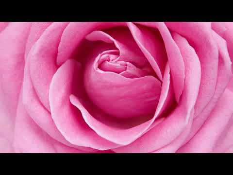 Noldu Bu Gönlüm, İlahi,  Mustafa Şahin ÖZDEMİR