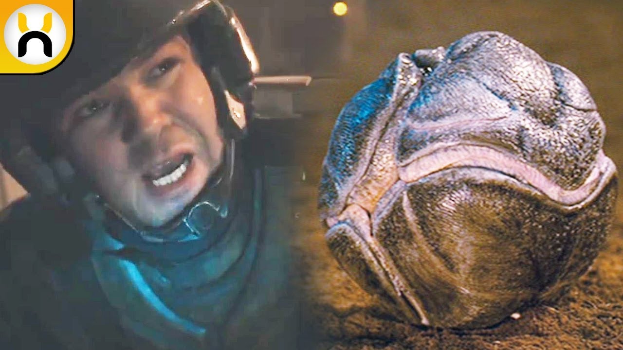 Bombardier Grenade Bug Explained | Starship Troopers - YouTube