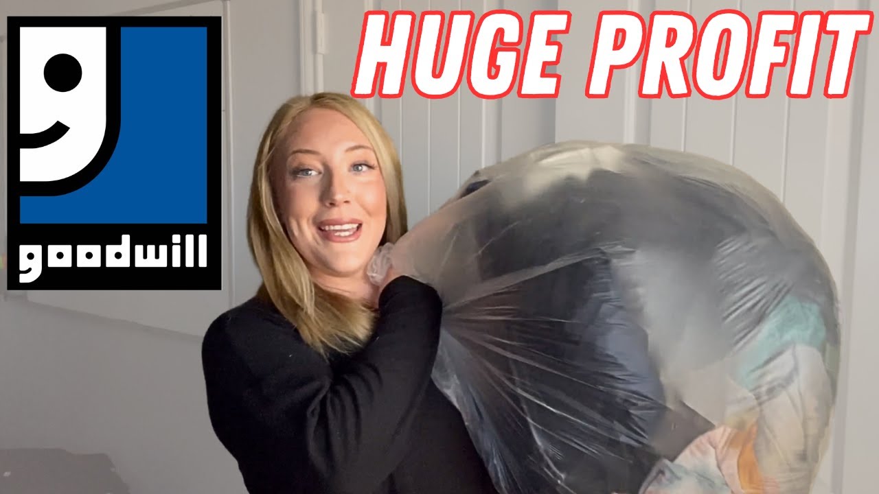 Insane Goodwill Bins Haul - YouTube