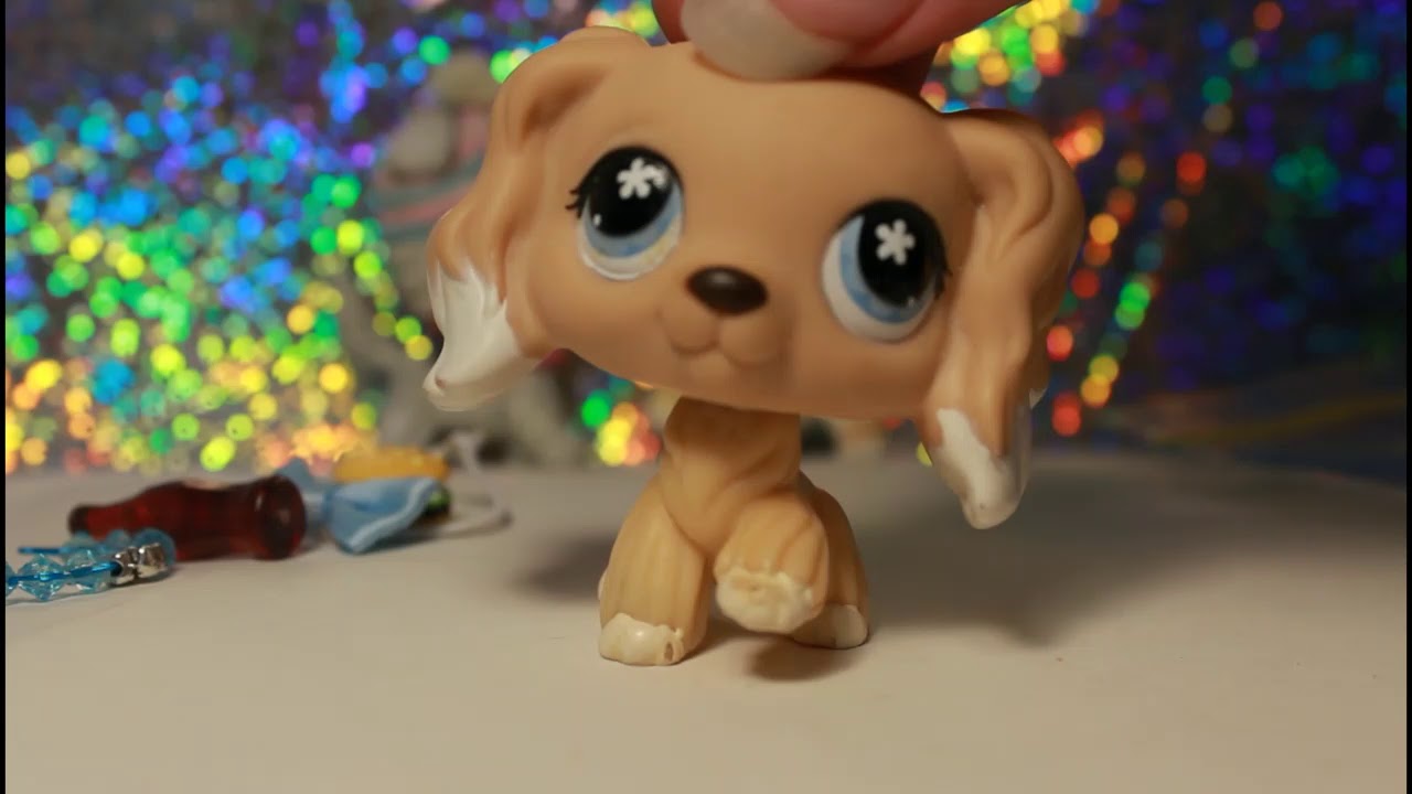 Lps: Getting my 2 dream lps! - YouTube