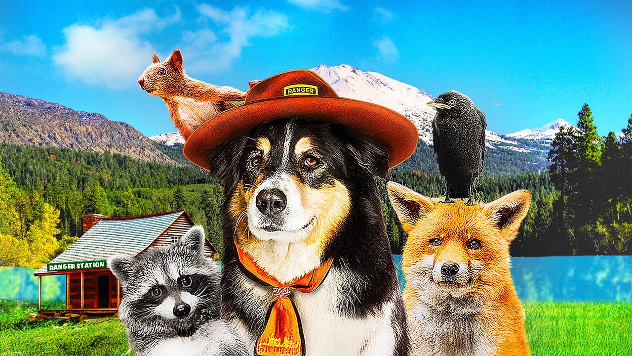 Ranger, Gardien des Bois | Film Complet en Français | Aventure - YouTube
