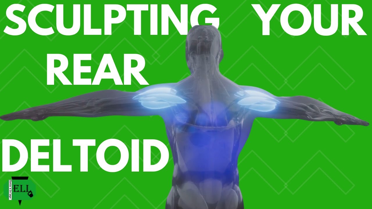 5 Power Moves to Sculpt Your Rear Deltoids - YouTube