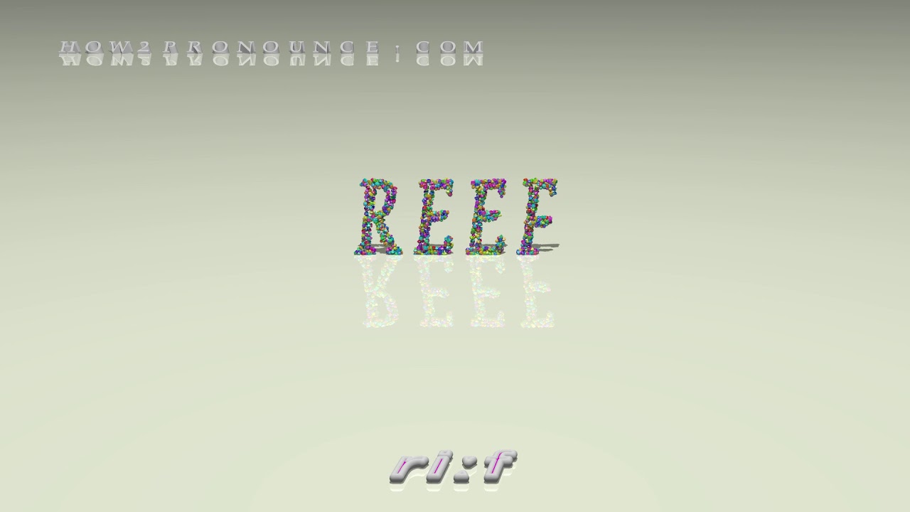 reef - pronunciation + Examples in sentences and phrases - YouTube