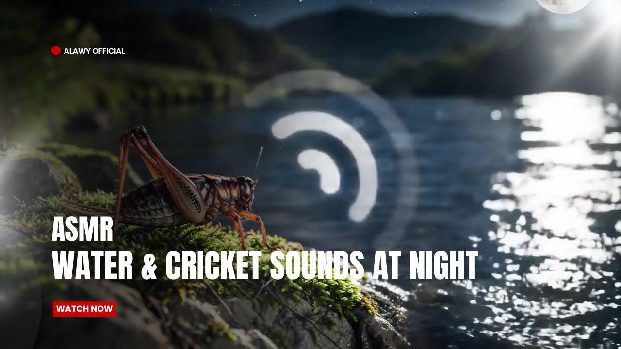 Night Crickets and Flowing Water Sounds | Deep Relaxation - YouTube
