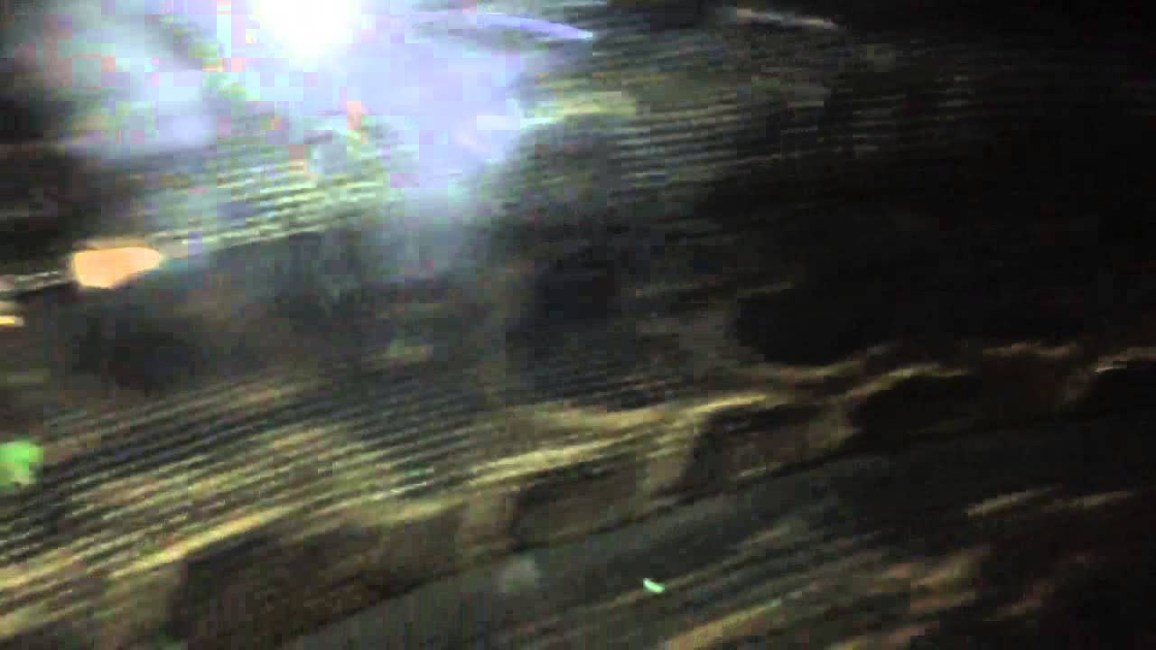 Big snake at Bronx zoo - YouTube